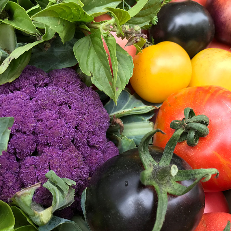 Accueil • TOMATO & CO